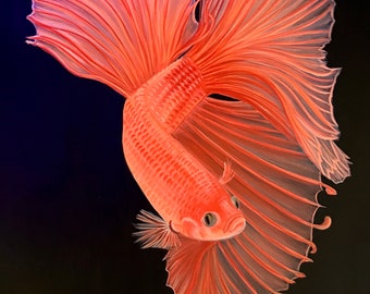 Betta, Betta Fish, Betta Fish Art, Betta Fish Painting, Tropical Fish ...