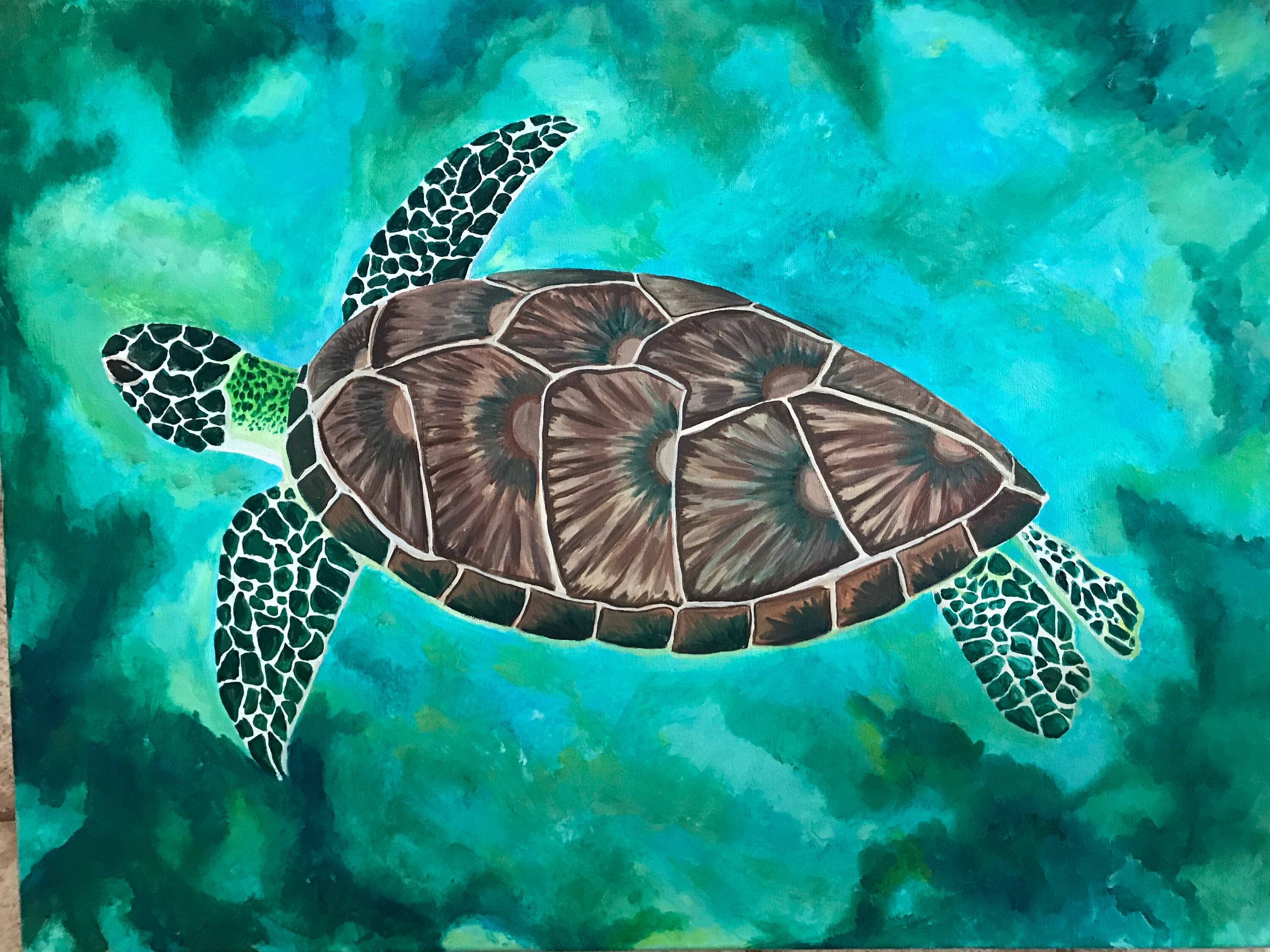 Hawaiian Sea Turtle Paintings