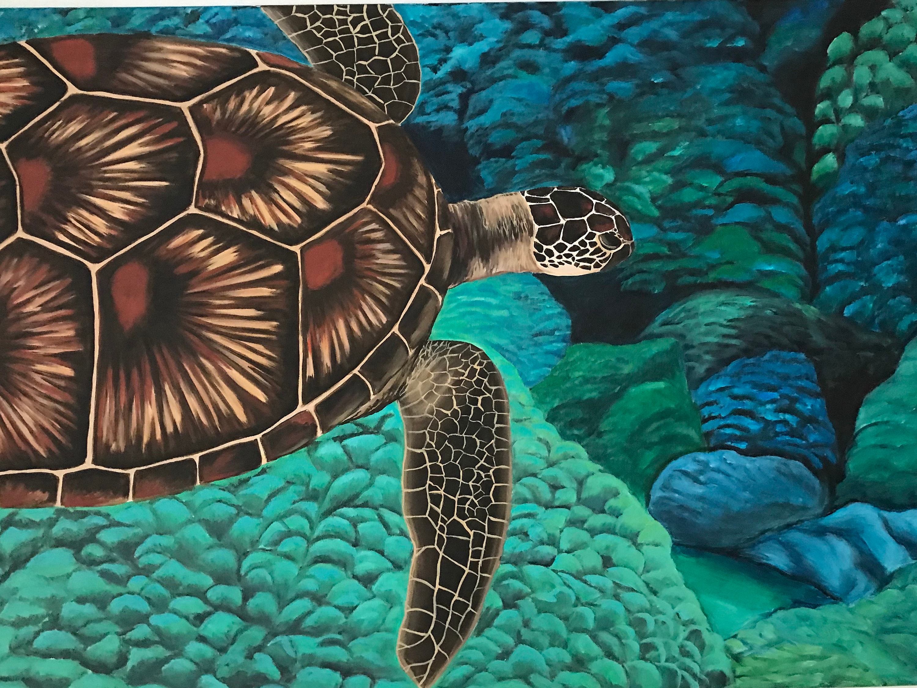 Hawaiian Sea Turtles Art