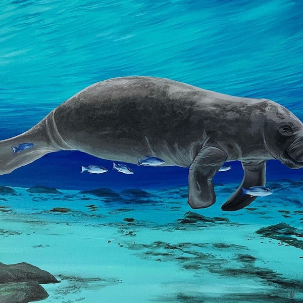 Manatee - Etsy