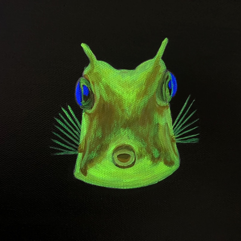 Cowfish - Etsy