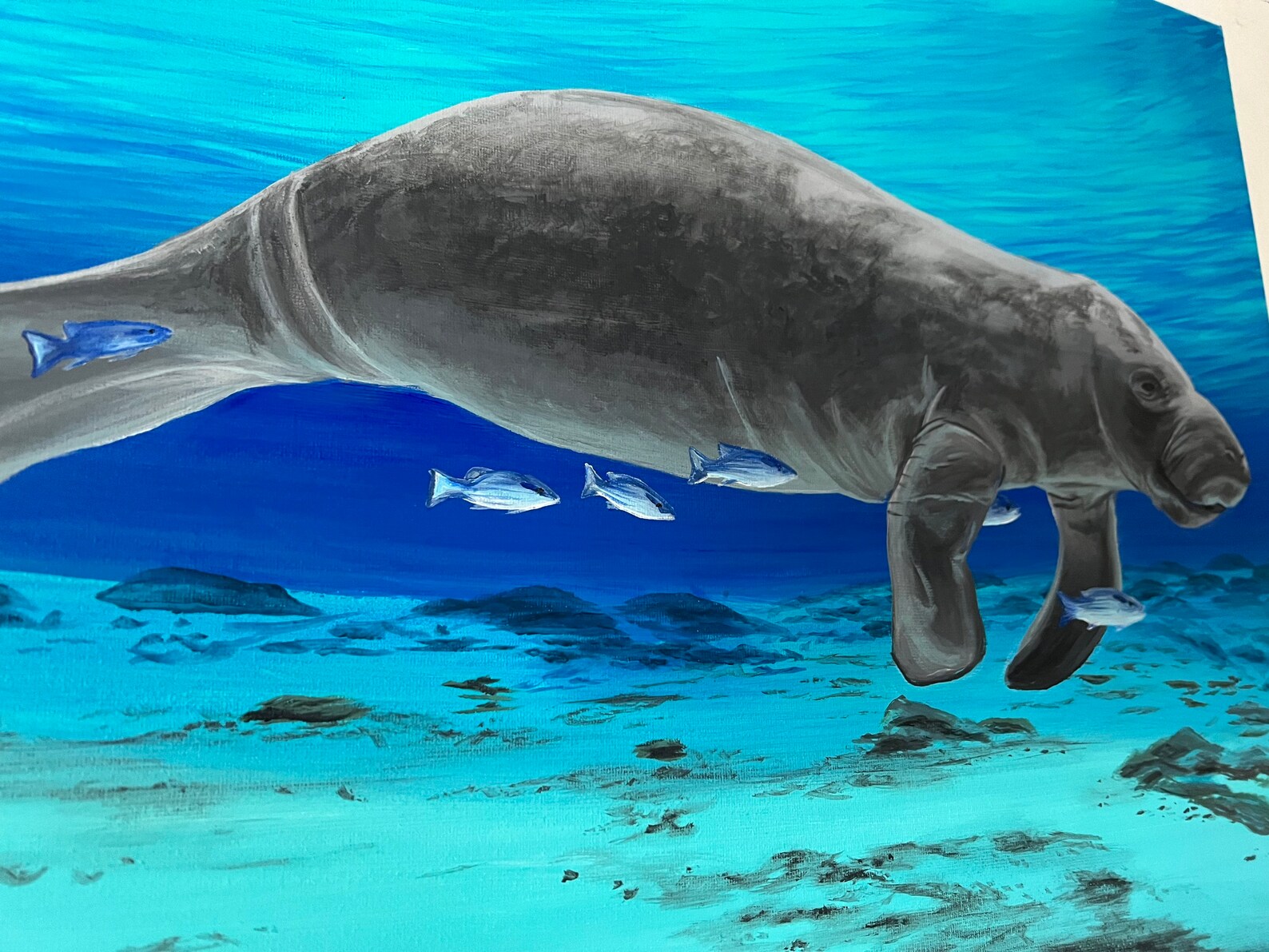 Manatee Artwork - Etsy