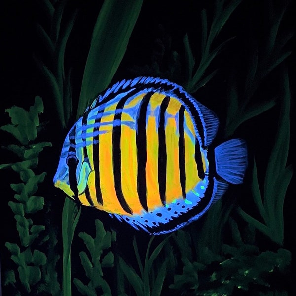 Discus Fish Wall Art - Etsy