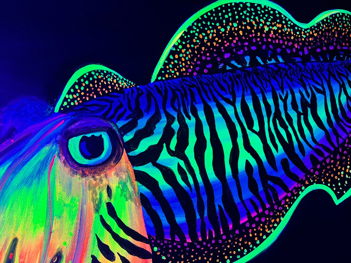 Cuttlefish Artwork - Etsy