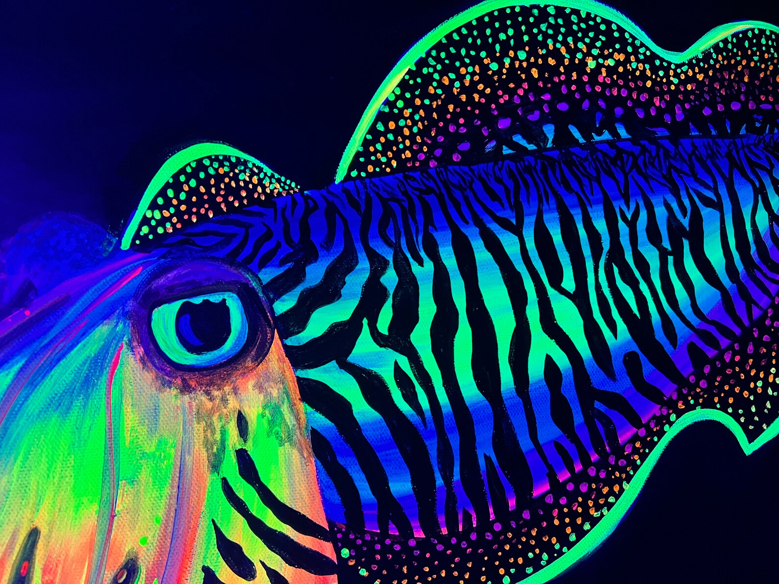 Cuttlefish Artwork - Etsy