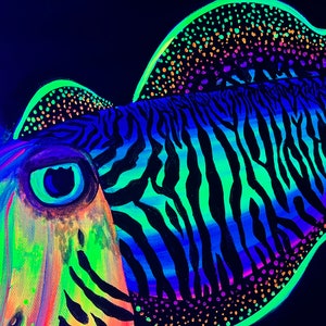 Cuttlefish Artwork - Etsy