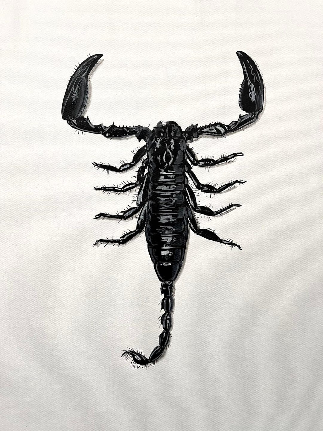 Scorpion Art - Etsy