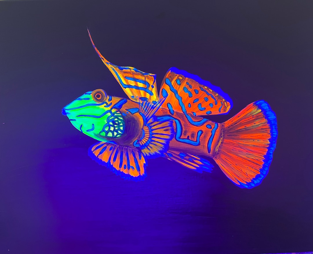 Black Light Mandarin Goby Painting - Etsy
