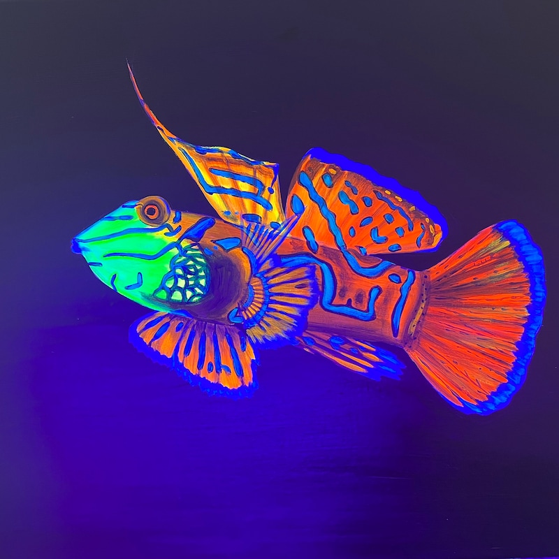 Mandarin Fish - Etsy