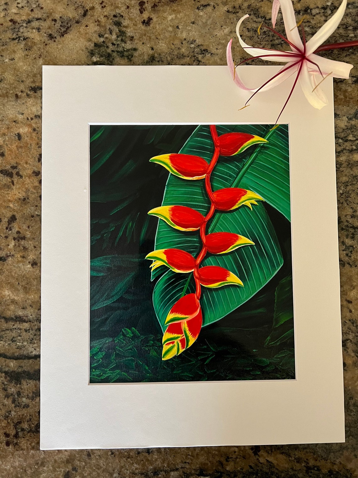 Heliconia Artwork - Etsy
