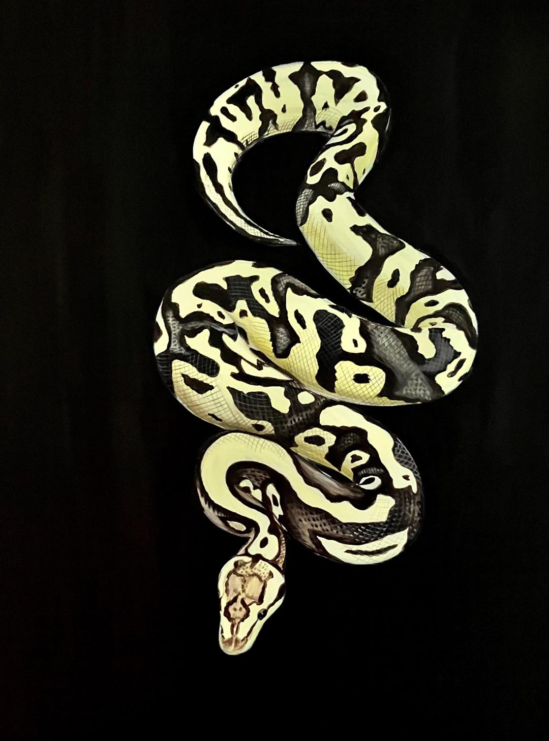 Clown Ball Python Painting - Etsy