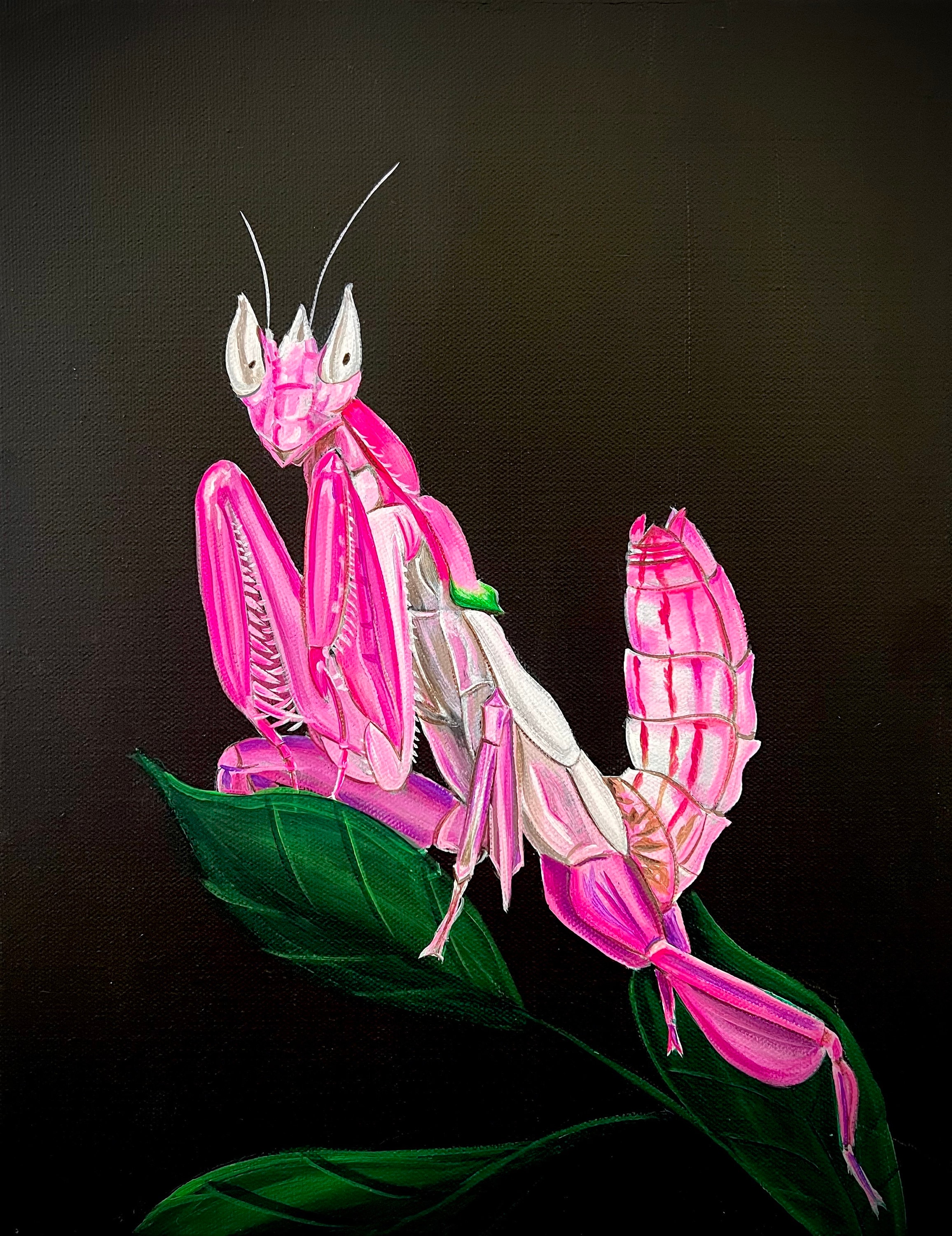 Orchid Mantis Artwork - Etsy