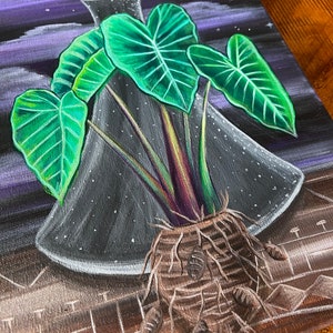 Hawaiian Taro/ Lo’i - Etsy