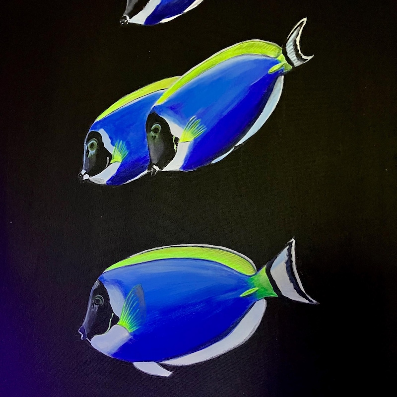 Powder Blue Tang - Etsy