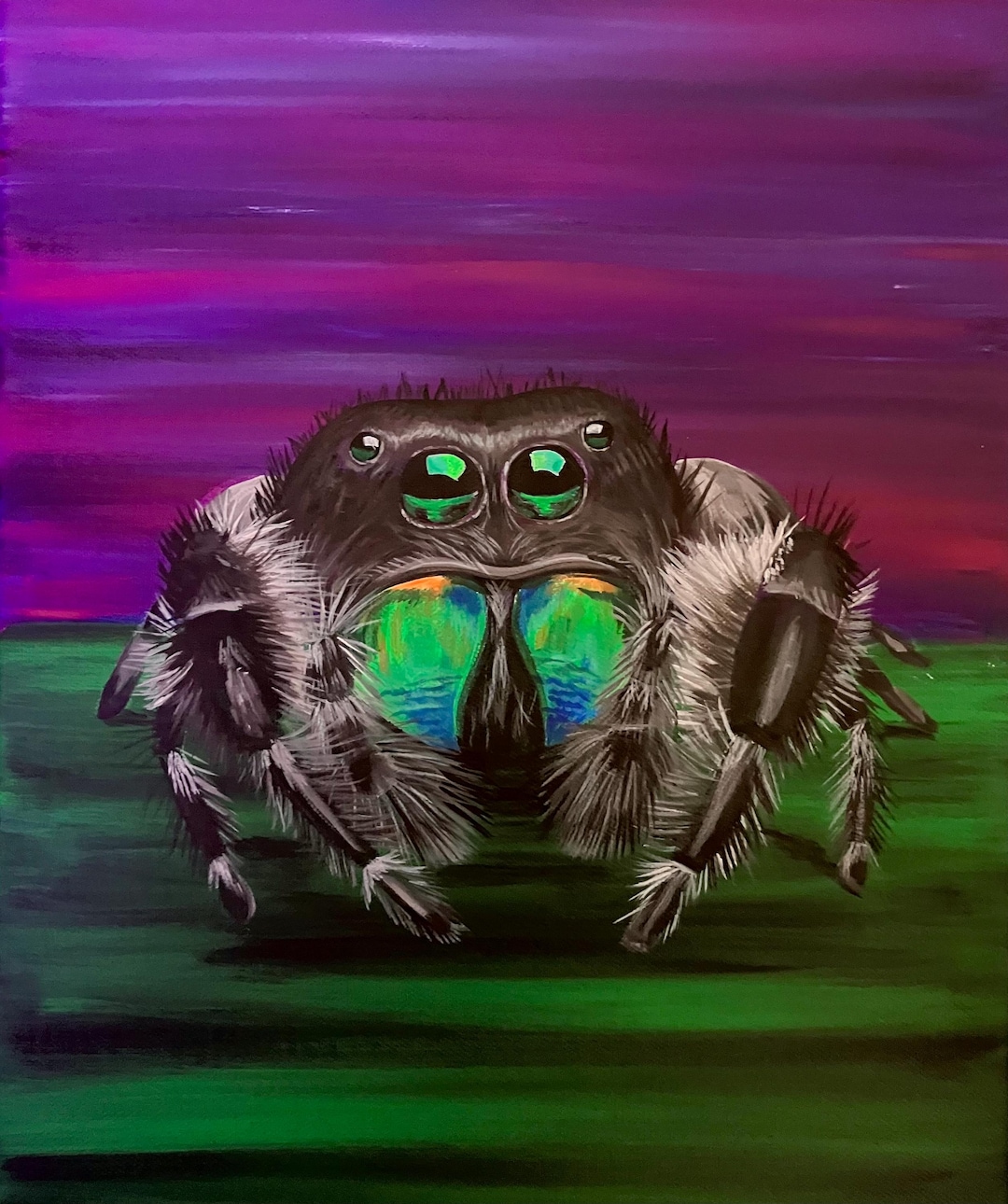 Jumping Spider Black Light Painting - Etsy