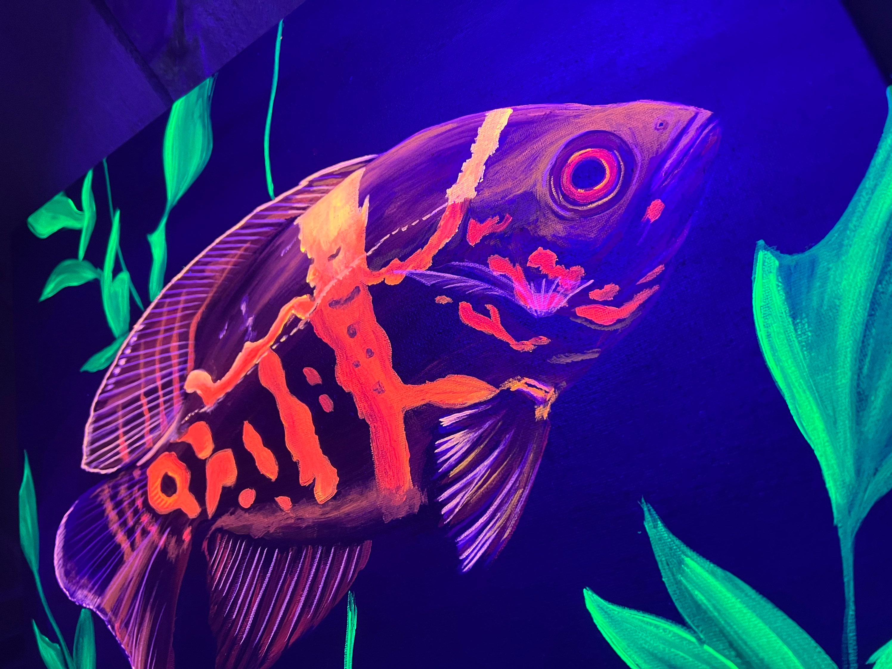 Oscar Fish Artwork - Etsy