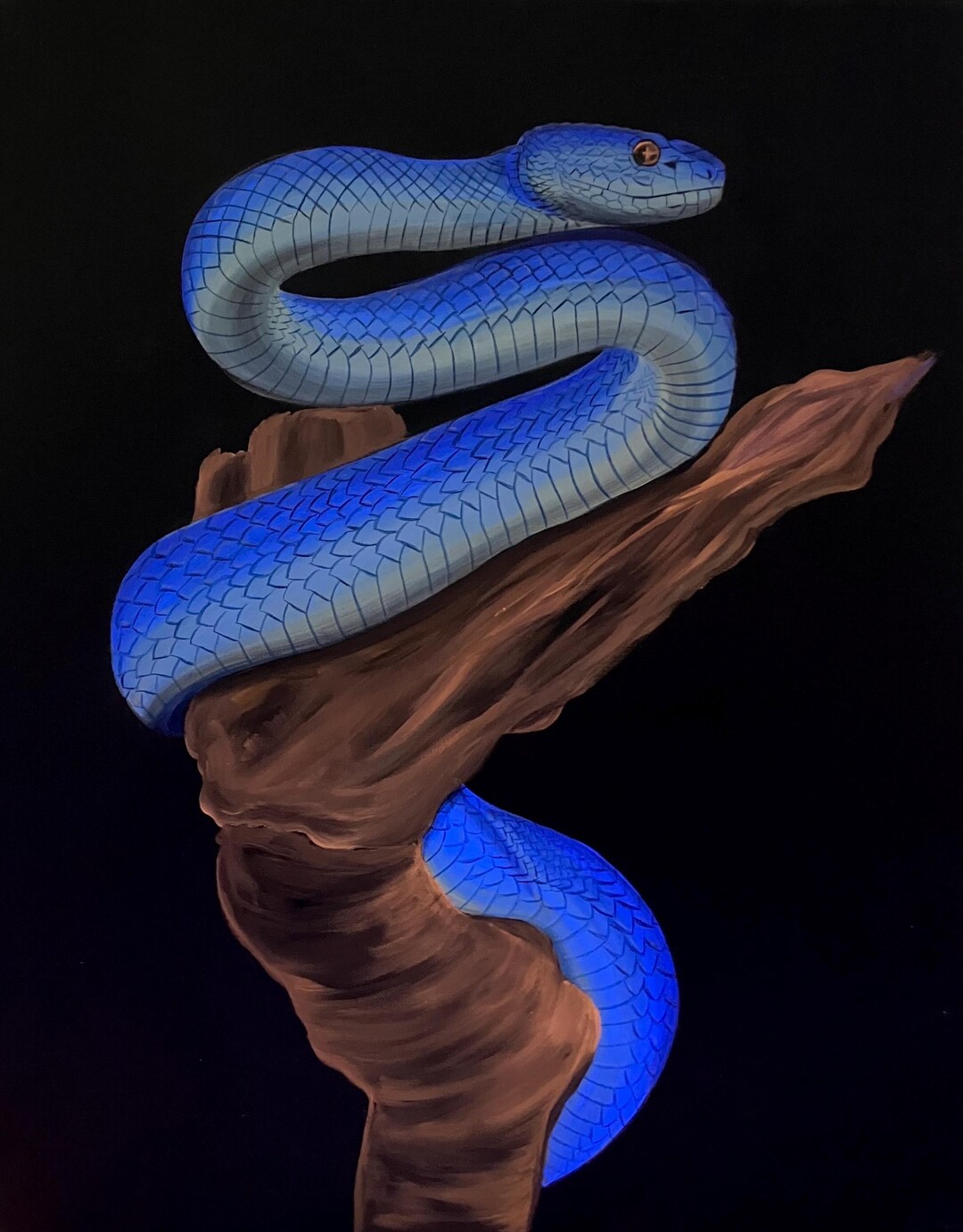Snake Painting - Etsy