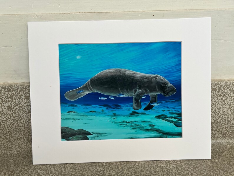 Manatee Artwork - Etsy
