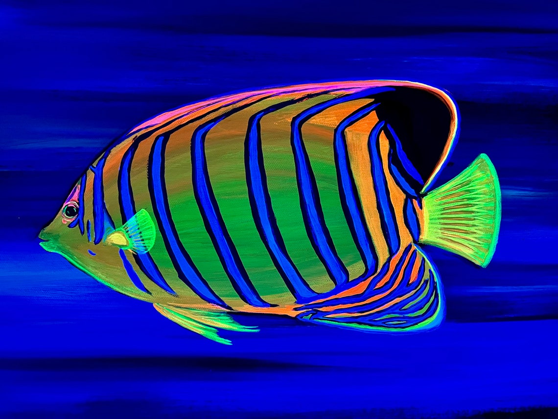 Red Sea Emperor Angelfish Painting - Etsy