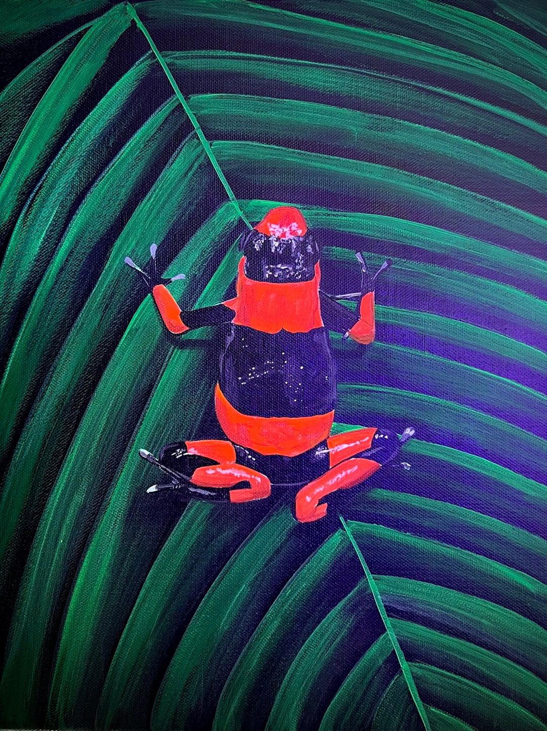 Poison Dart Frog Art - Etsy