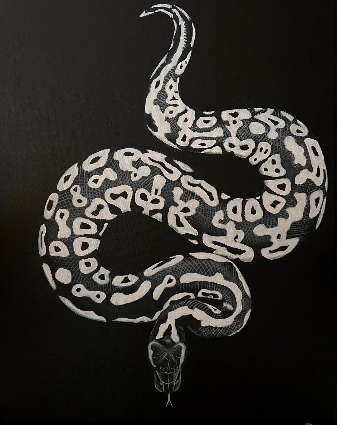 Ghost Ball Python Artwork - Etsy