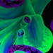 Black Light Octopus Painting - Etsy