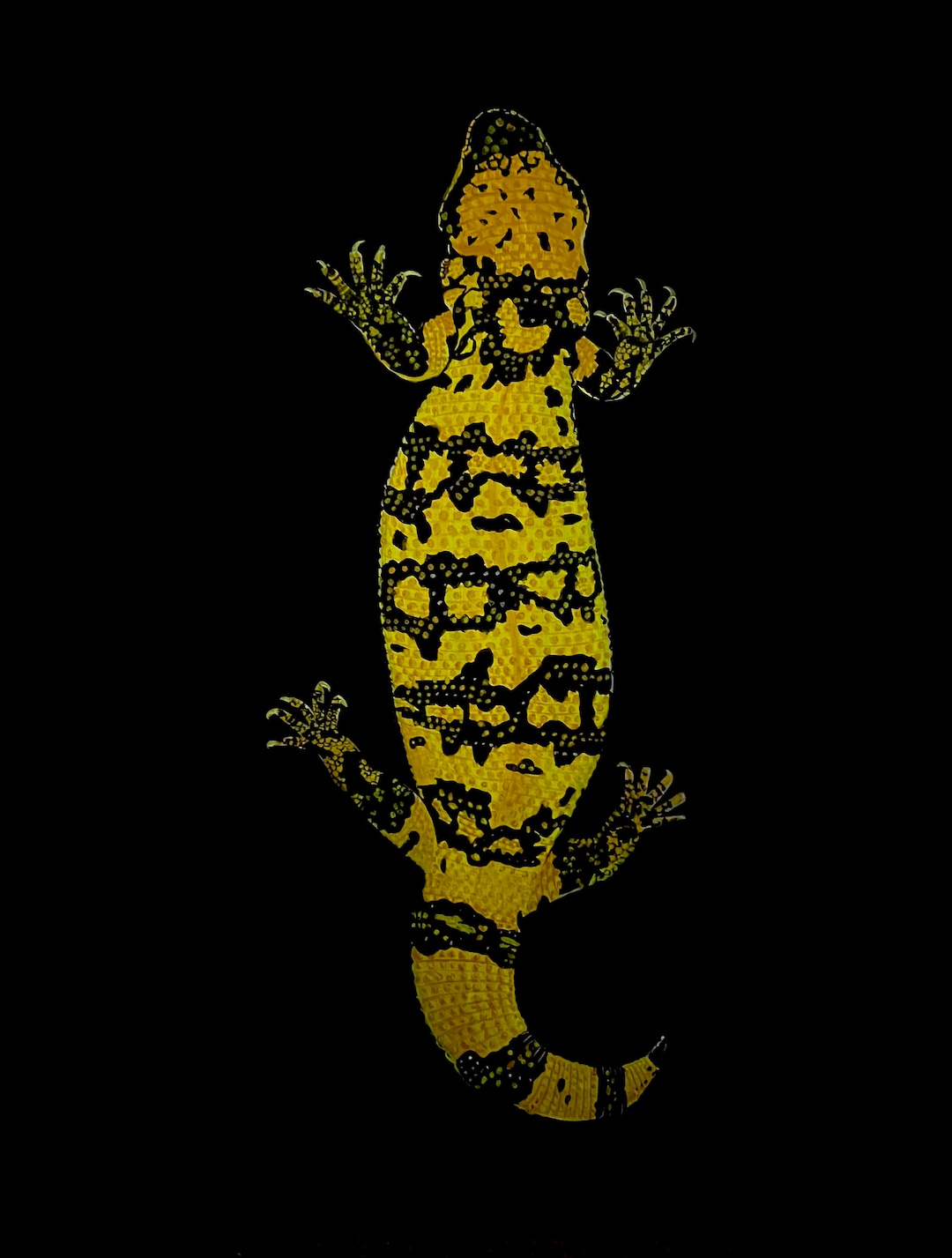 Gila Monster Art - Etsy