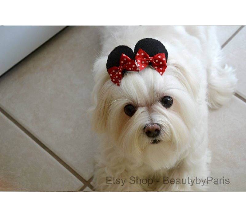 Soft Black Ears Dog Bow | Etsy