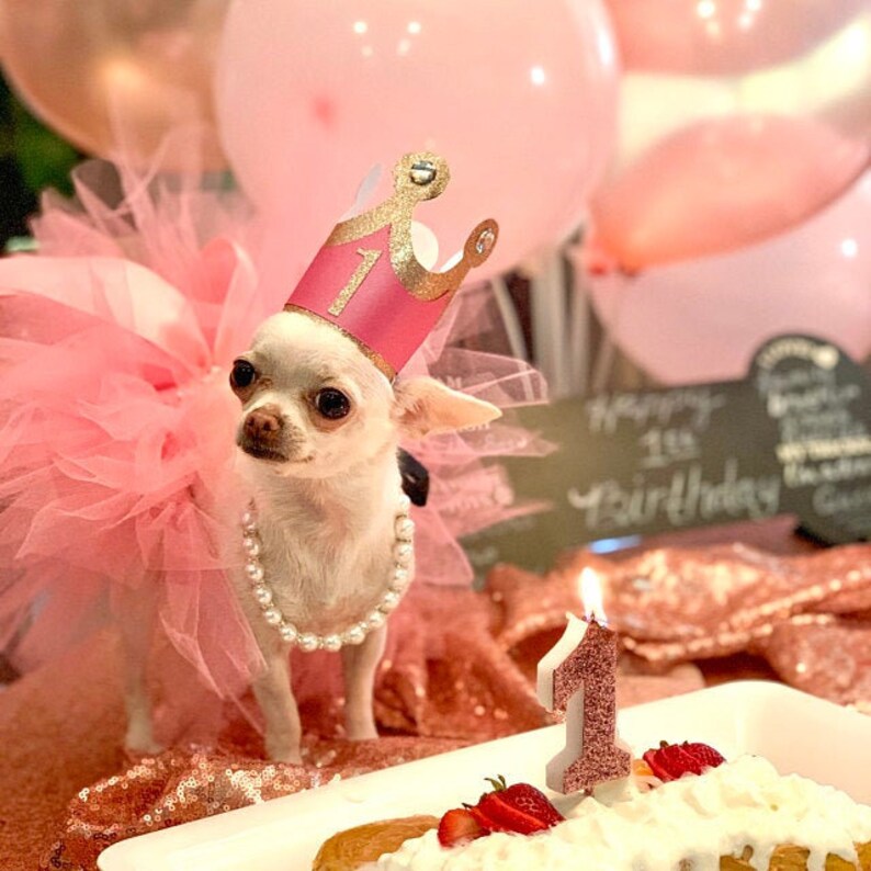 Dog Birthday Princess Tutu & Crown Pink and Purple Solid | Etsy