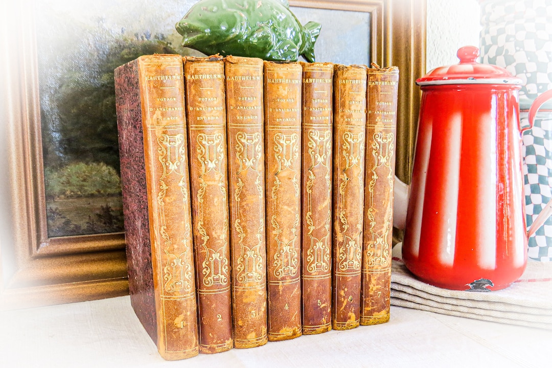 Antique French Books Set of 7 in French Antiquarian Leather Books Year ...