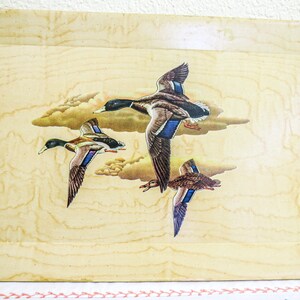 Haskelite Hasko Deluxe Lap Trays Set of 4 Vintage the Ideal Buffet ...