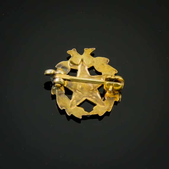 Eastern Star. Vintage Pin with Masonic Eastern Star … - Gem