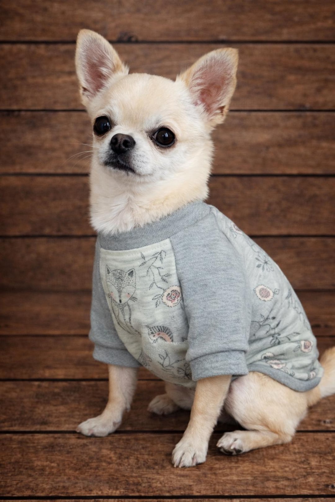 Handmade Dog Tshirt, Clothes for Small Dogs, Limited Edition Pet ...