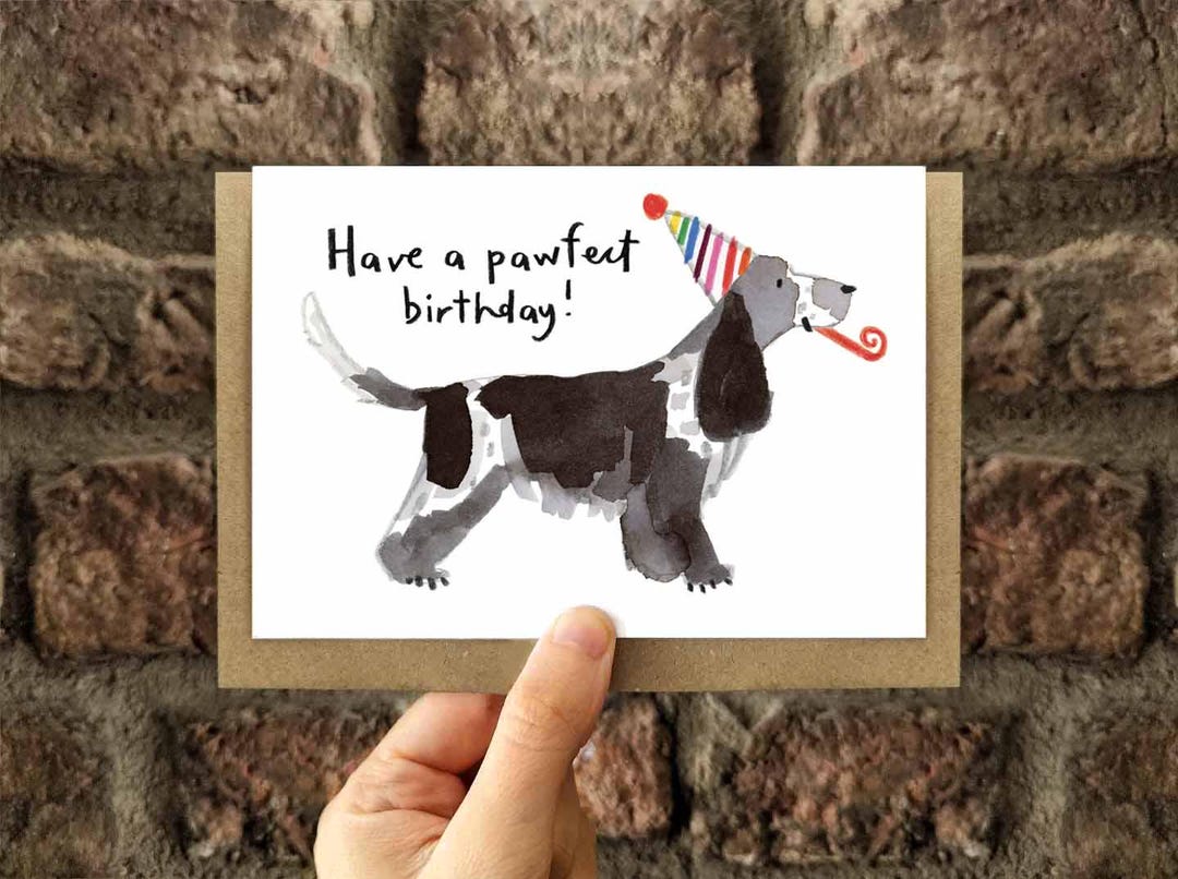 Have a Pawfect Birthday! Blue Roan Cocker Spaniel Birthday Card - Etsy