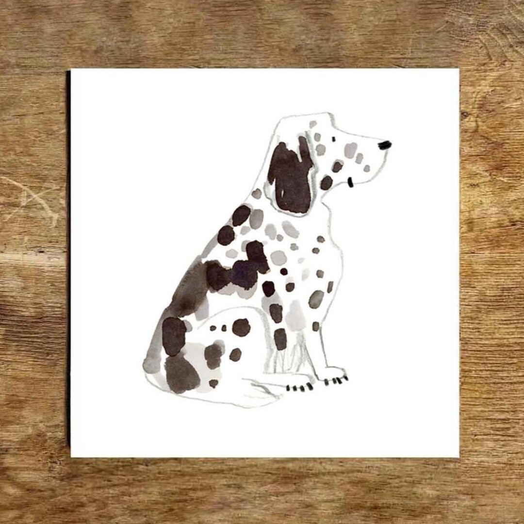 Illustrated English Setter Print - Etsy