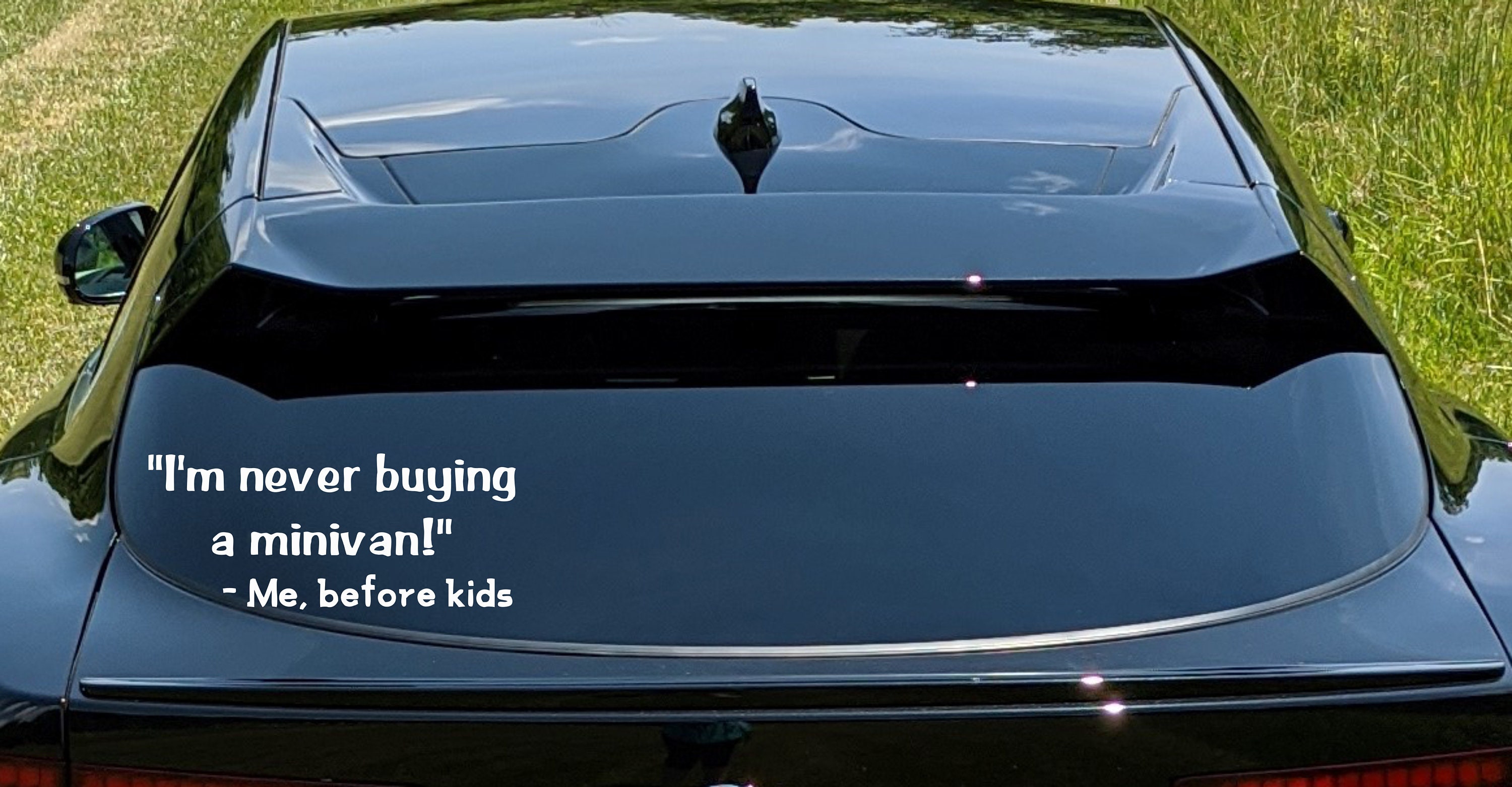 Minivan Stickers, Funny Stickers, Funny Sayings Gift Sticker, Van Life ...