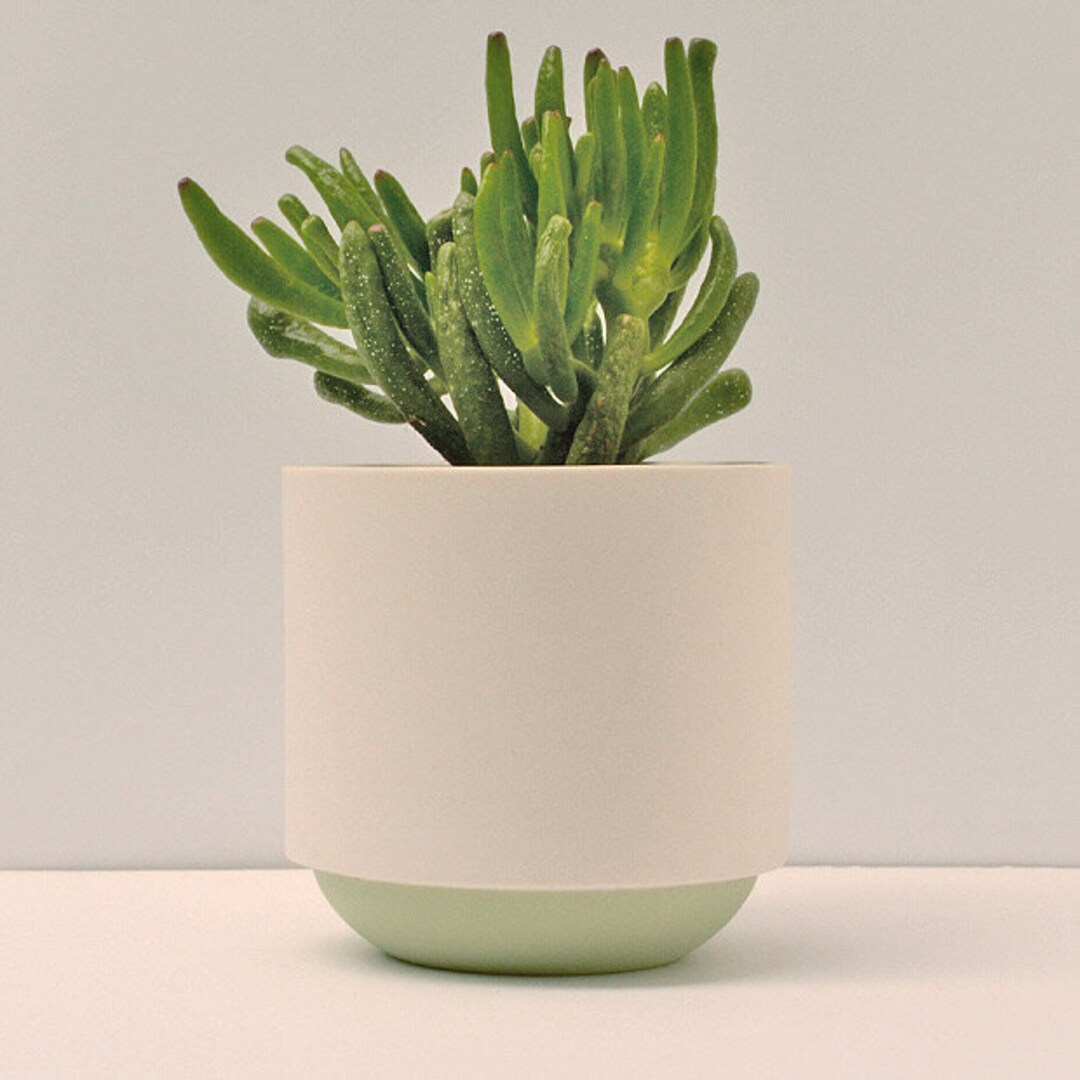 Handmade Desk Planter 9cm Pot, Green and White Porcelain. Ceramic ...
