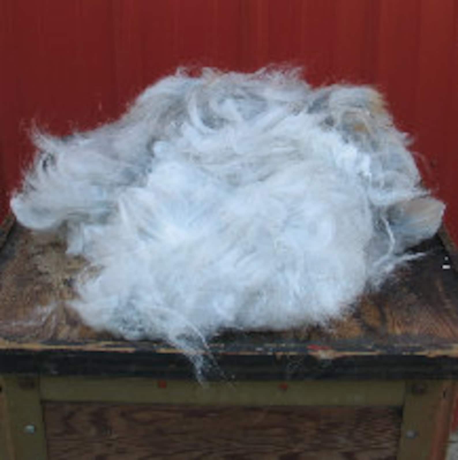 100% Raw Angora Fiber - Etsy