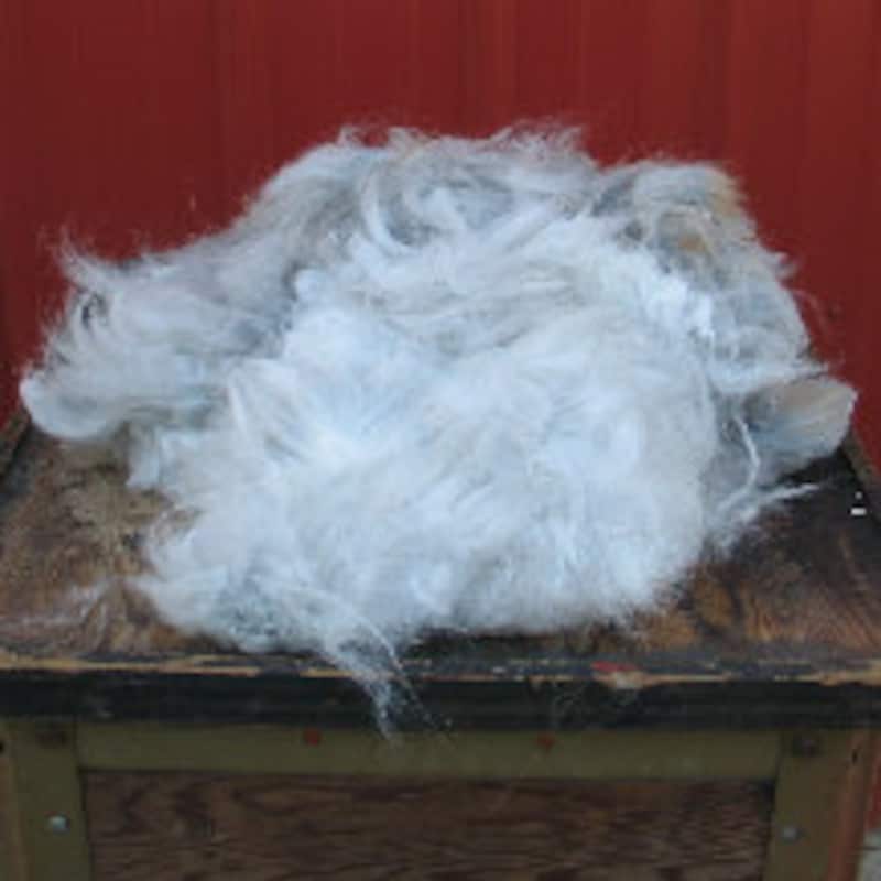 Angora Fiber - Etsy