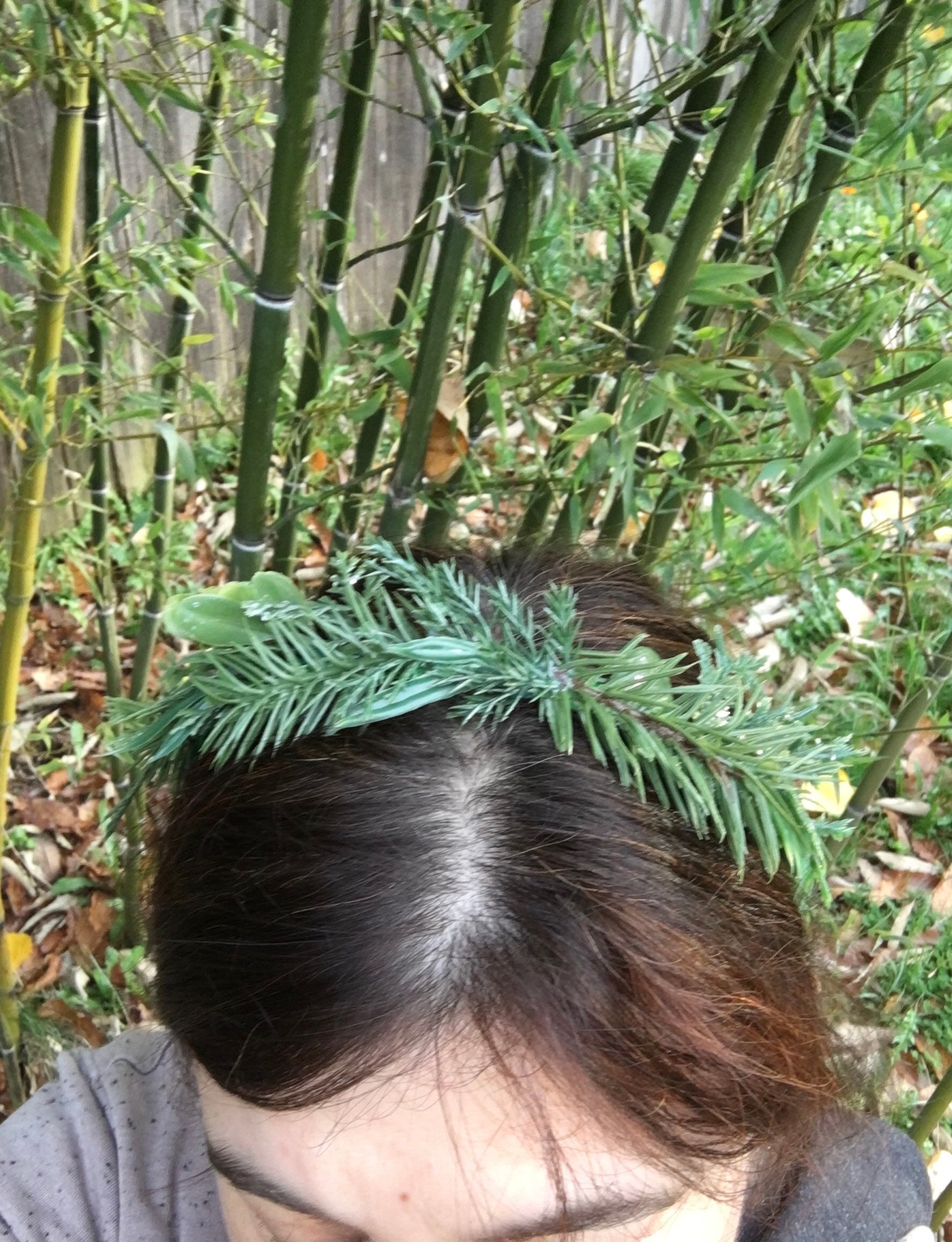 Evergreen Sprig Crown Leafy Green Headband Winter Holiday - Etsy