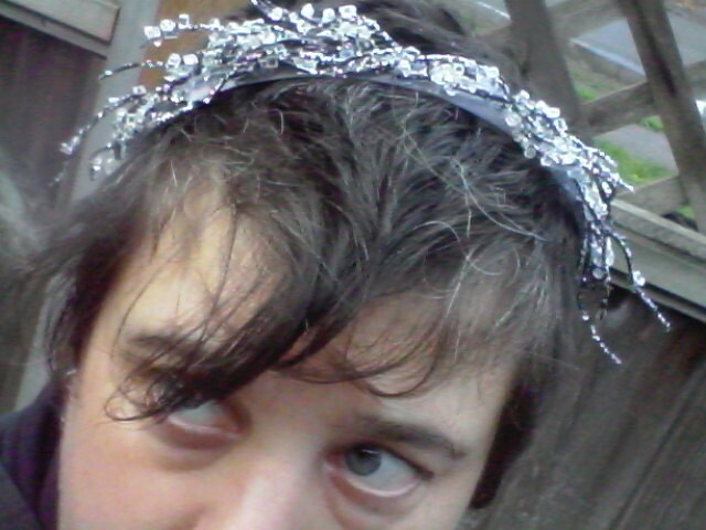 Solstice Crown of Glittery Twigs, Sparkling Twig Crown, Yule Crown ...