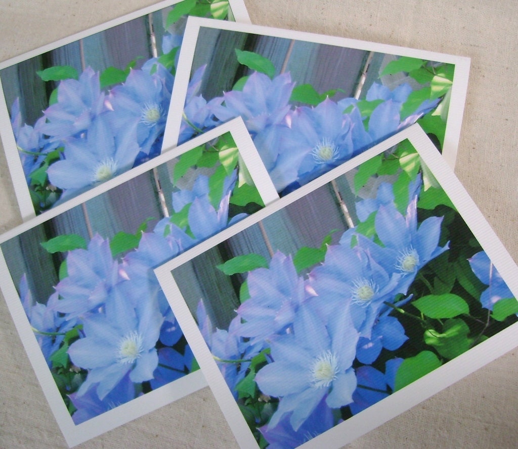Four Photo Note Cards Floral Note Card Set Greeting Cards - Etsy