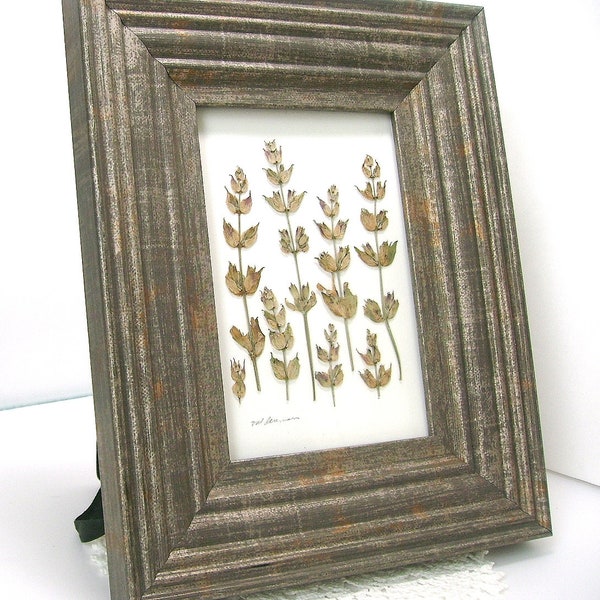 Pictures of Herbs - Etsy