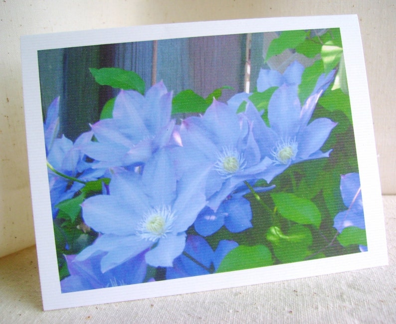 Four Photo Note Cards Floral Note Card Set Greeting Cards - Etsy