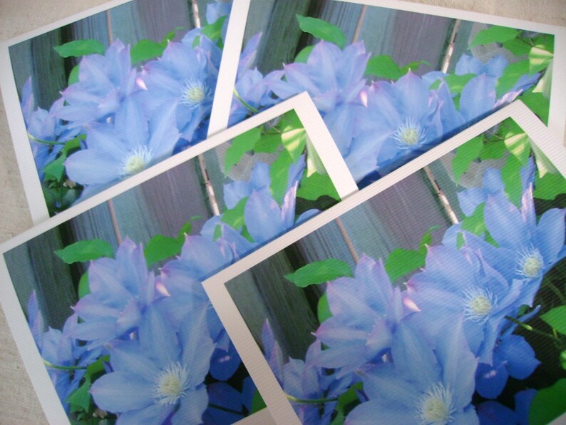 Four Photo Note Cards Floral Note Card Set Greeting Cards - Etsy