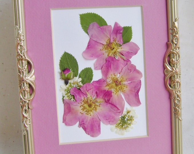 Framed Pink Roses, Real Pressed Flowers, Framed Pressed Flowers ...