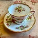 Vintage Rosina Bone China Flower Pattern Cup and Saucer - Etsy