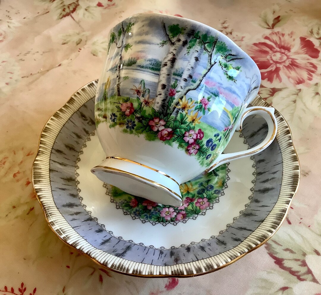 Vintage Royal Albert Bone China Silver Birch Pattern Cup and Saucer - Etsy