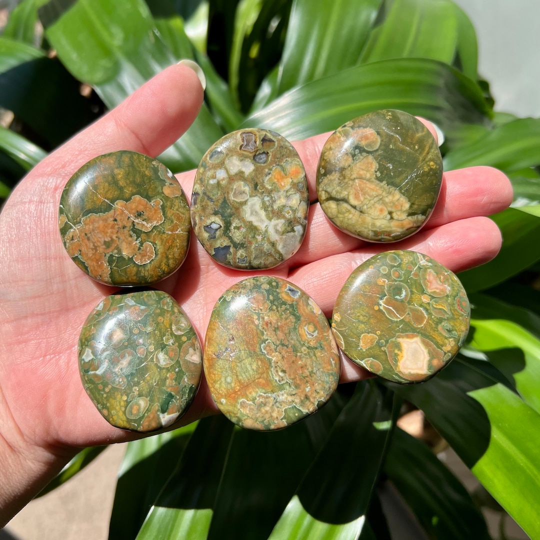 You Choose / Rainforest Jasper Palm Stone / Rhyolite / Pocket Palm ...