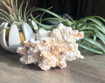 Beautiful Cave Popcorn Calcite With Gypsum Micro Crystals With Red ...